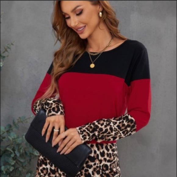 Tops | Only 3 Left Classy Leopard Print Color Block Tee Long Sleeve ...